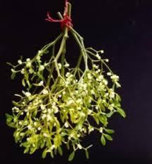 jhyg - Secretodamiga